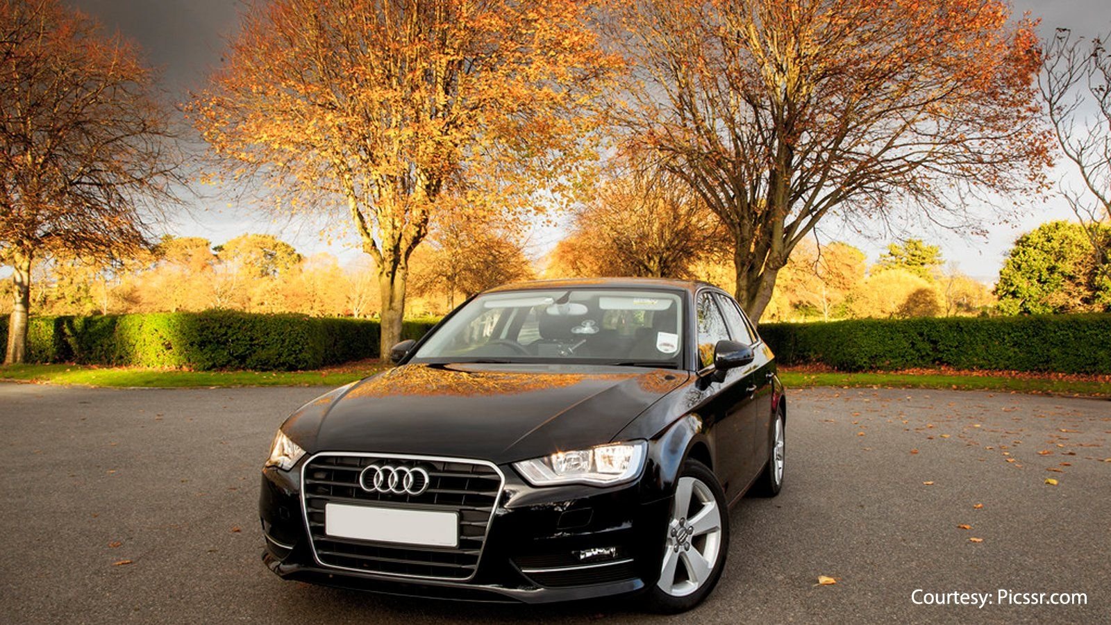 10 Pictures of Audis That Will Get You Into the Fall Spirit | Audiworld