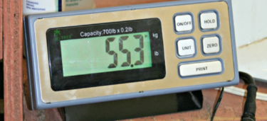 How to Use a Digital Weight Scale | DoItYourself.com