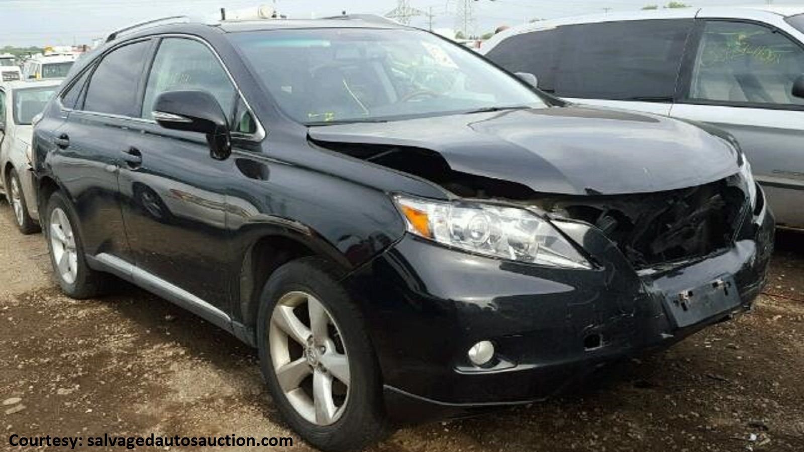 5 Crazy Things Lexus Drivers Have Done | Clublexus