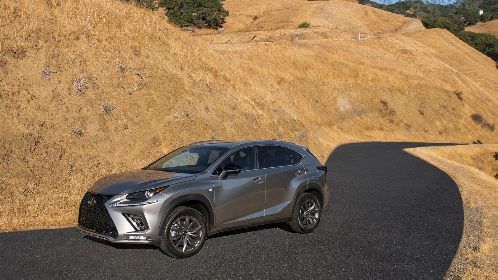 2019 Lexus NX300: What You Need to Know | Clublexus
