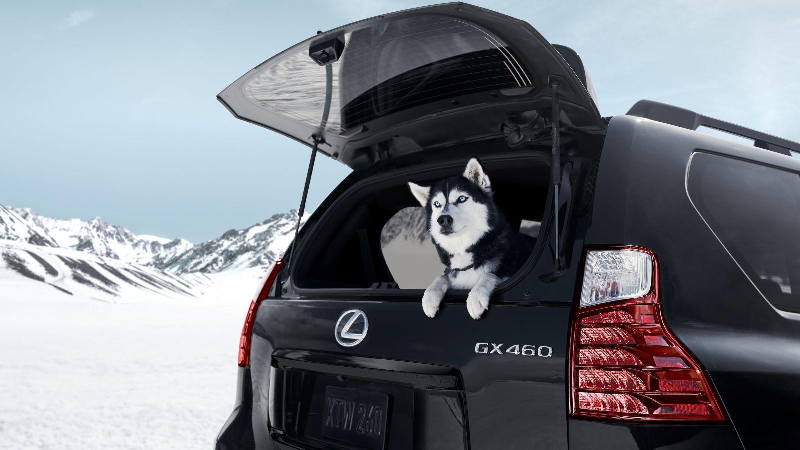 TX550h+ Trademark Suggests Possible New Lexus PHEV | Clublexus