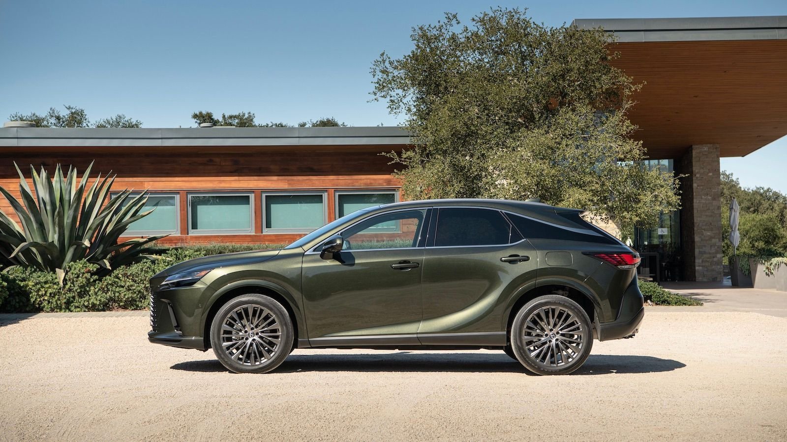 2024 Lexus RX Buyer's Guide: Models, Features, Prices & More! | Clublexus