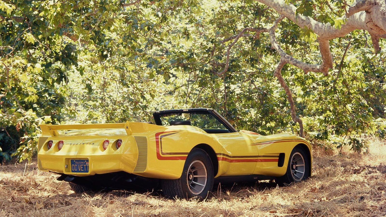 IMSA Style 350-ci V8 Big Banana C3 | Corvetteforum