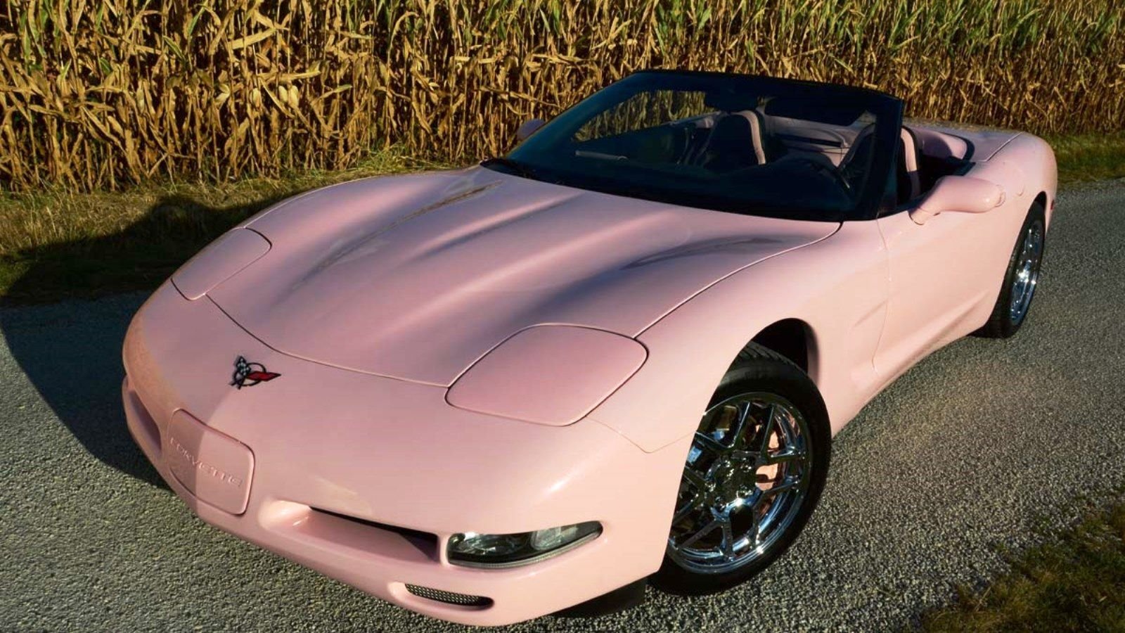 10 Colored Vettes Perfect for an Easter Basket | Corvetteforum