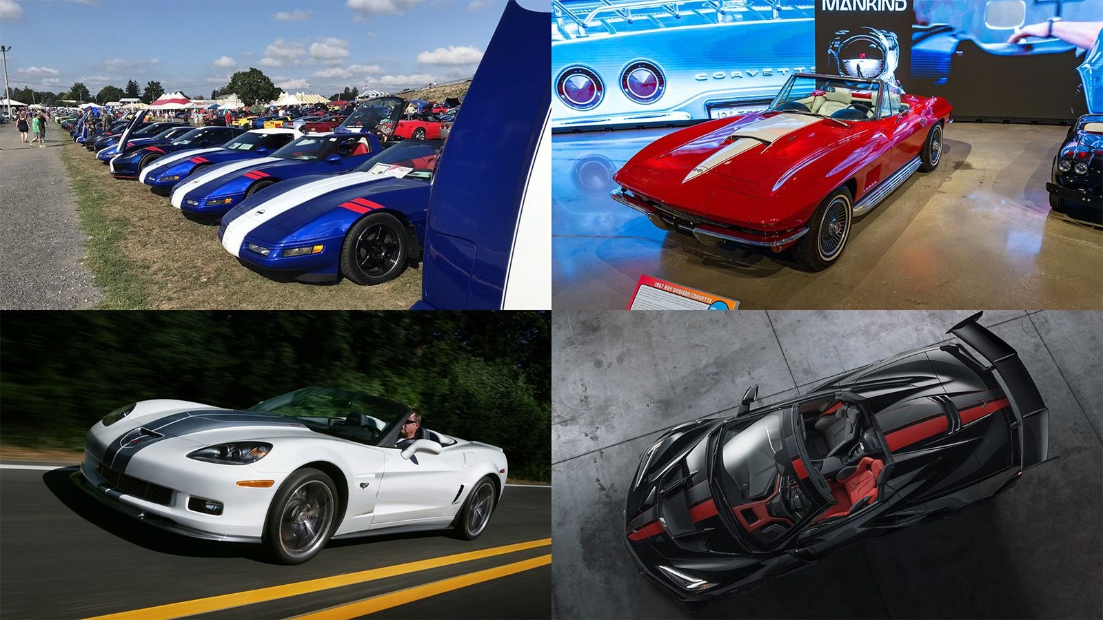 10 Best Corvette Racing Stripes & Graphics Packages of All Time ...