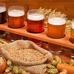 How to Grow Hops in Your Backyard - Dave's Garden