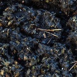 Polymer Moisture Crystals: Magic for Your Garden and Your Containers ...