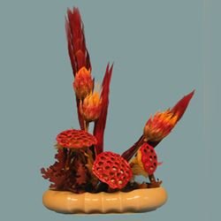 Traditional Designs in the Standard Flower Show - Dave's Garden