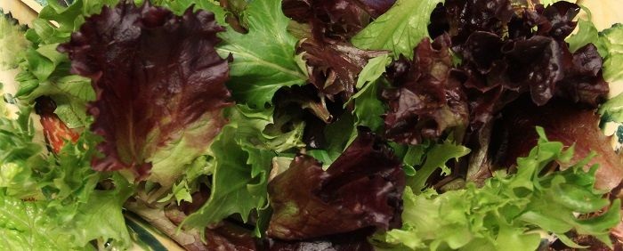 How to Select Seeds that Yield the Biggest Harvest - Dave's Garden