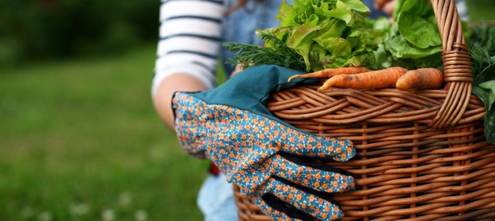 Food Storage Tips for the Market Gardener - Dave's Garden