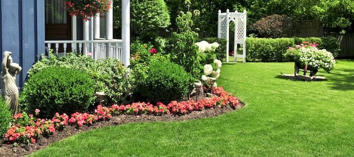 Plants That Spruce Up Your Home's Foundation - Dave's Garden