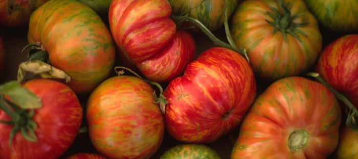 Tips for Growing Heirlooms in the Garden - Dave's Garden