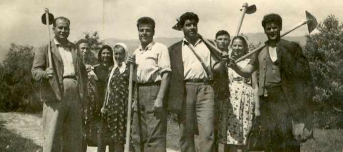 The History and Uses of the Garden Hoe - Dave's Garden