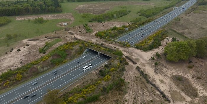 wildlife crossing over interstate