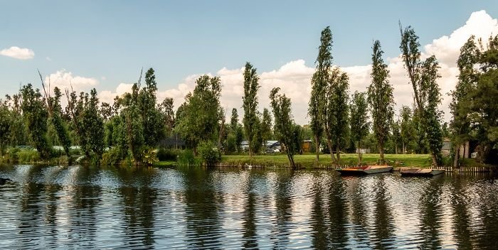 The Ingenious Floating Gardens of the Aztecs - Dave's Garden