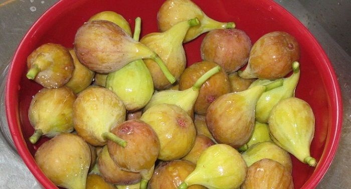 Growing and Using Figs - Dave's Garden