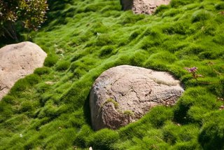How to Landscape on a Slope | DoItYourself.com