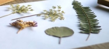 Crafting With Real Flowers | DoItYourself.com