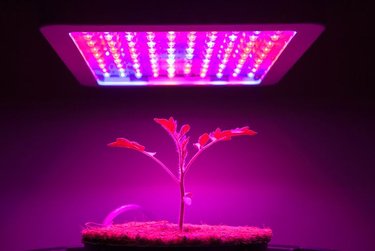 Building a Refrigerator Grow Box | DoItYourself.com