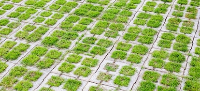 How to Install a Grass Paver Driveway | DoItYourself.com