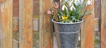 7 Ways to Dress Up Your Fence | DoItYourself.com