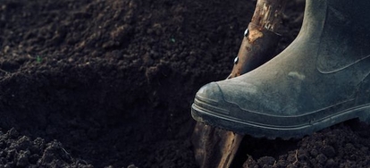 Why and How to do Perc Test for a Septic System | DoItYourself.com