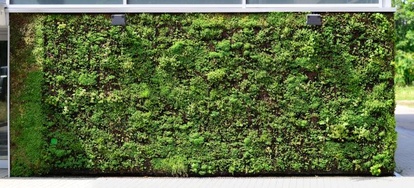 Everything You Need to Know About Living Plant Walls | DoItYourself.com