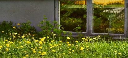 10 Tips for Better Basement Window Security | DoItYourself.com