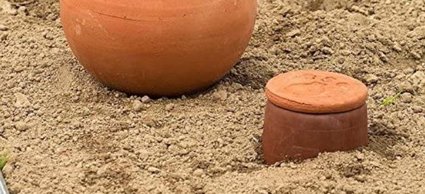 Low-Tech Clay Pot Irrigation | DoItYourself.com