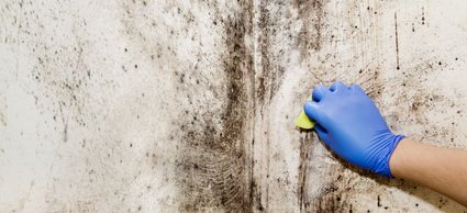 Moisture and Mold Problems - Cleanup Methods | DoItYourself.com
