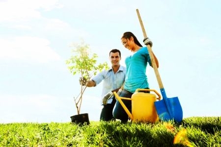 Tree Planting - How to Plant Your Trees | DoItYourself.com