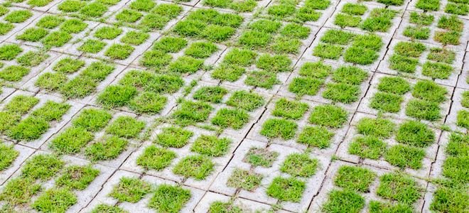 How to Install a Grass Paver Driveway | DoItYourself.com