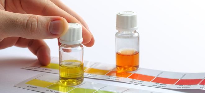 How to Test Your Tap Water | DoItYourself.com