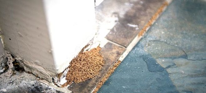 The 7 Most Common Basement Problems to Look Out for | DoItYourself.com