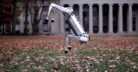 MIT’s Frighteningly Fast Robot Cheetah Uses AI to Break Speed Records ...