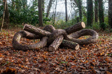 Monsieur Plant Molds Tree Trunks into Shockingly Unnatural Sculptures ...