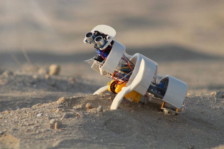 Solar-Powered Autonomous Robot Roams the Desert Planting Seeds ...