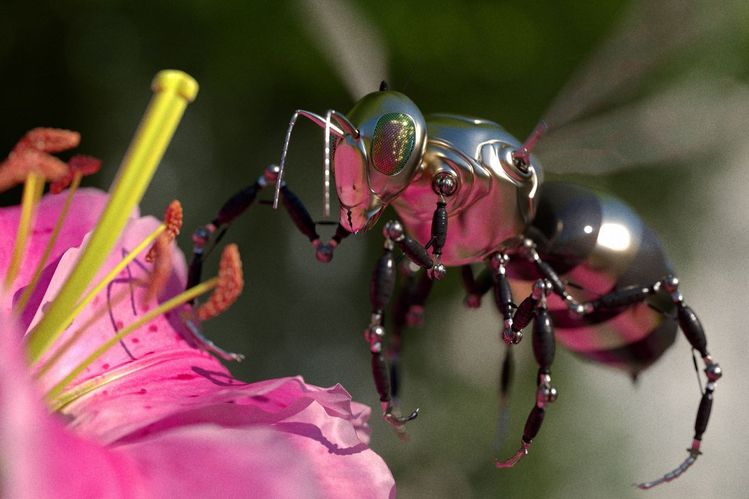 New AI Tech Allows Humans to Talk to Animals | Designs & Ideas on Dornob