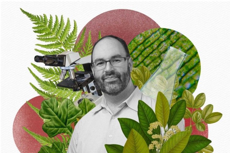 Scientists Create New Lightweight Plastic That’s Twice as Strong as ...