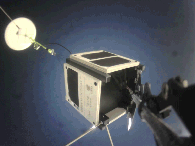In Late 2021, This Tiny Satellite Made of Plywood Will Be Launched Into ...