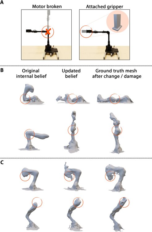 This Self-Aware Robot Taught Itself How to Control Its Own Body ...