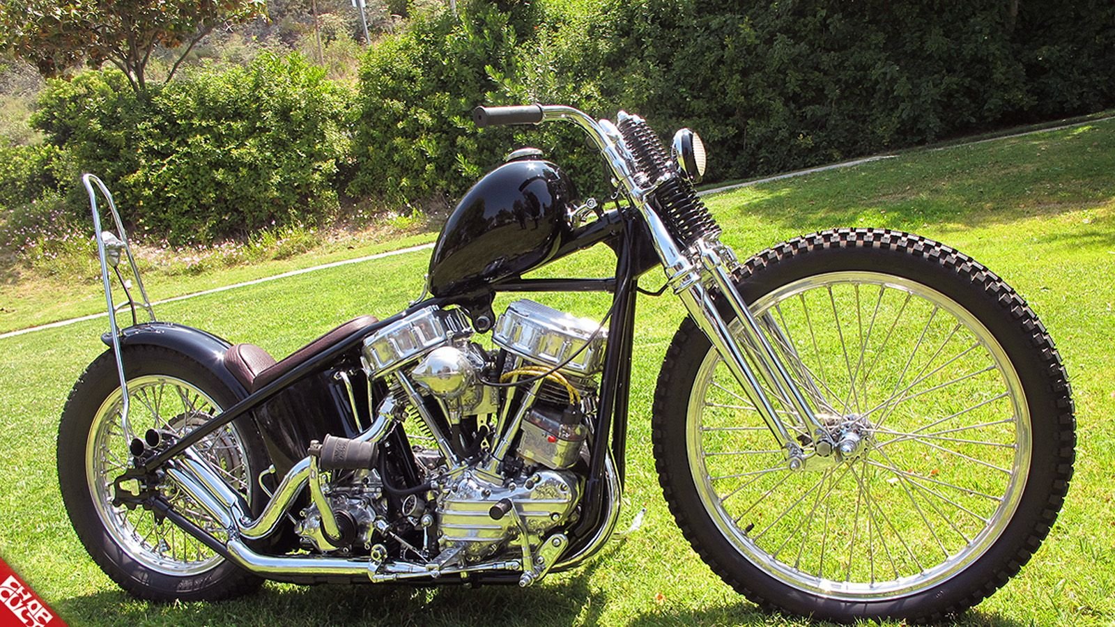 Siksika: 1956 Panhead Trophy Winner | Hdforums
