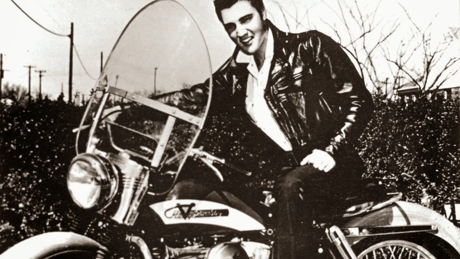 Rare 1-Of-30 Harley Elvis Presley Edition Up for Grabs | Hdforums