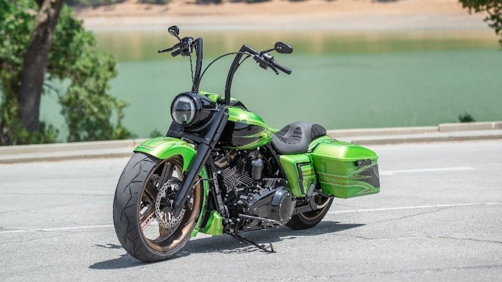 Green Disease Is one Strangely Nicknamed But Cool Custom Road King ...