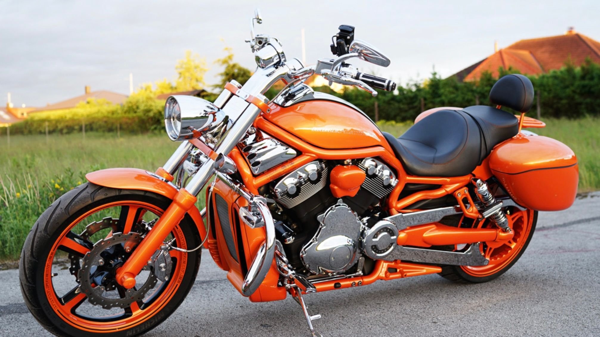 Super Orange Harley Night Rod Bucks the Dark Trend | Hdforums