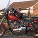 The Very Versatile Dyna Glide Convertible | Hdforums