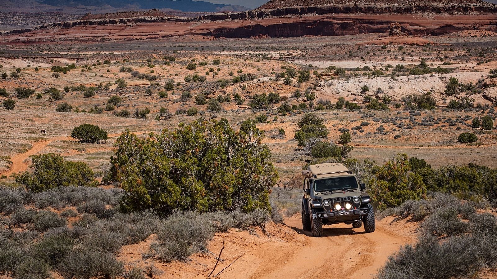 Jeep Wayout Concept Is an Overlander's Dream Rig | Jk-forum