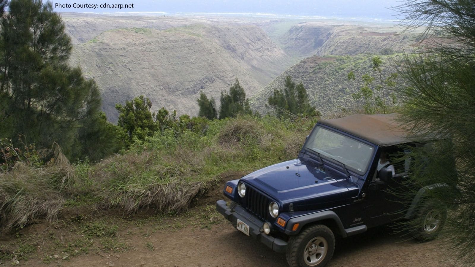 Off-Roading Through Hawaiian Rain Forests on the Amazing Munro Trail ...