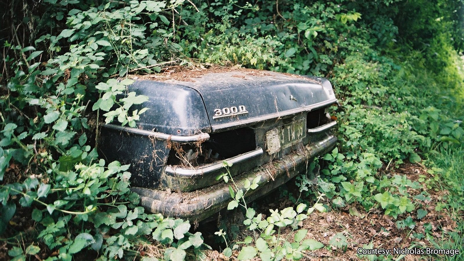 6 Creepy Mercedes-Benzes Abandoned in the Woods | Mbworld