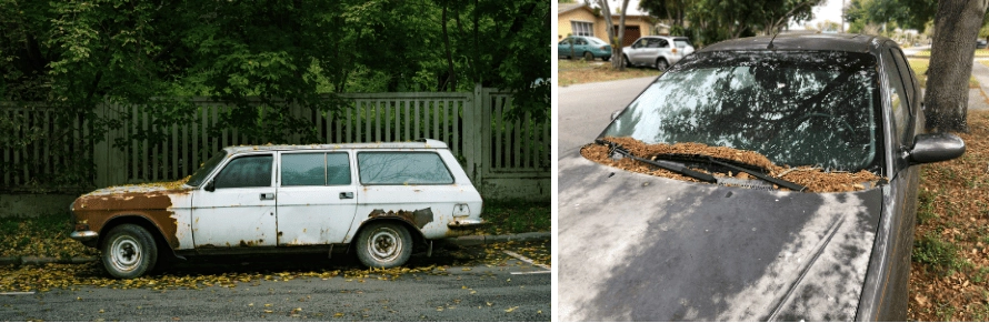 How to Deal With an Abandoned Vehicle on Your Street